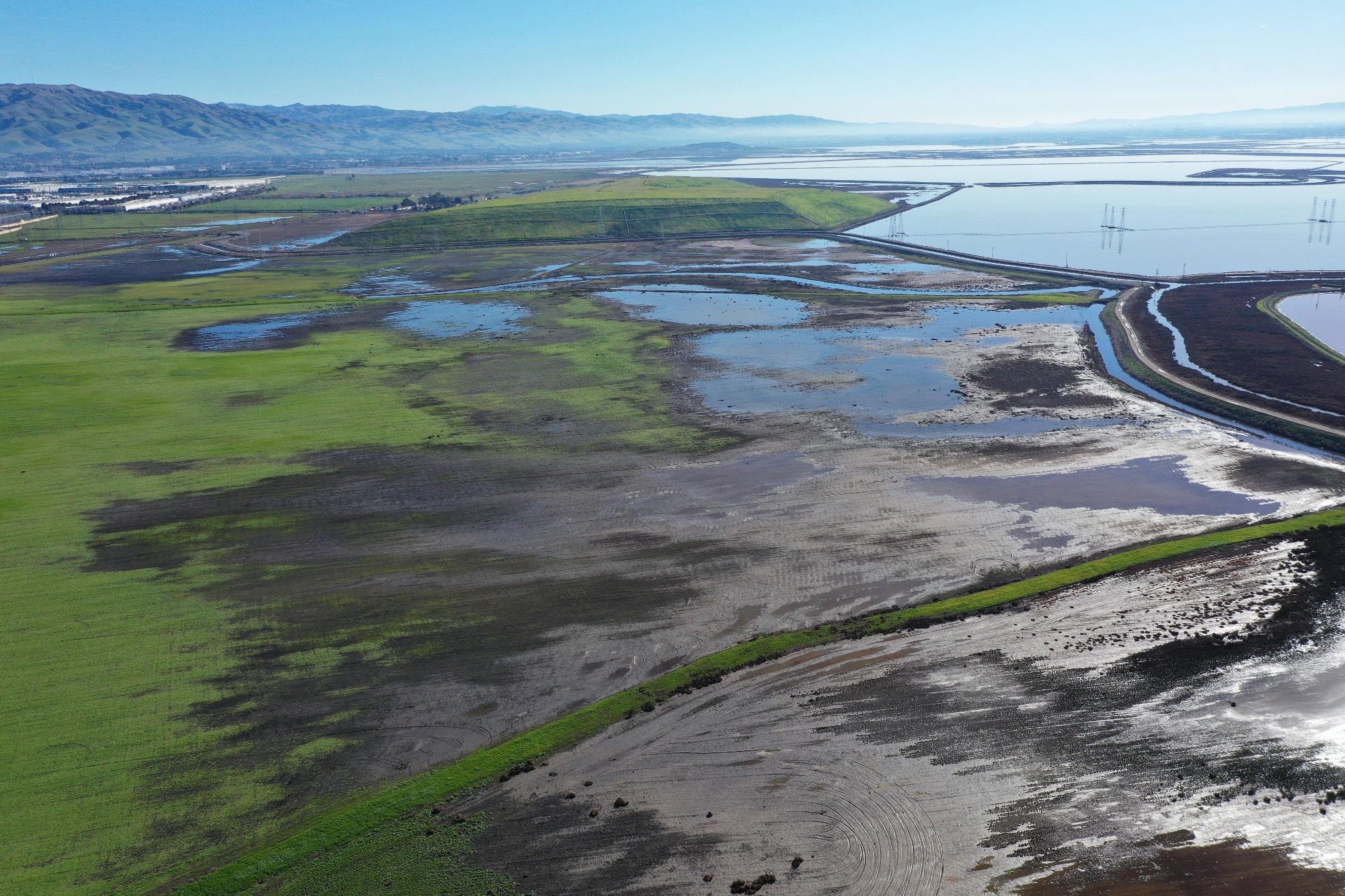 Scientists Support for Newark Area 4 Baylands - Save Newark Wetlands